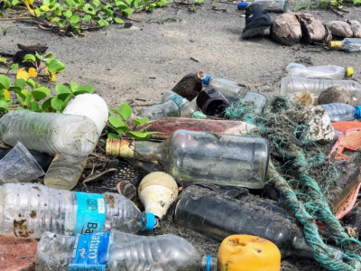 EuChemS Element scarcity displayed in new EuChemS Periodic Table of Elements - EuChemS