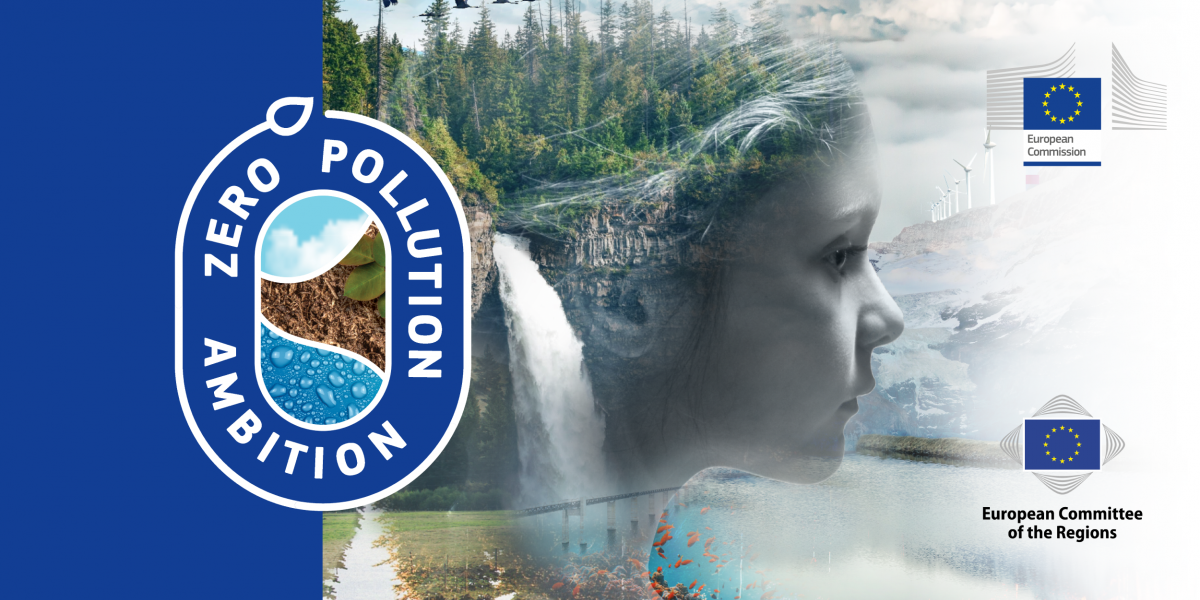 Zero Pollution Stakeholder Platform - EuChemS